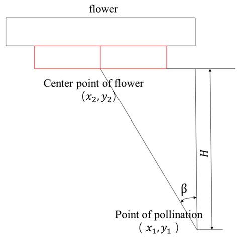 horticulturae free full text reasearch on kiwi fruit flower