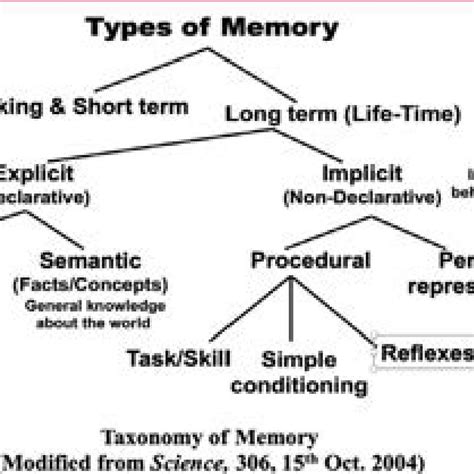 Different Categories Of Memory As Described In The Text Have Been Shown Download Scientific