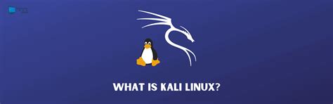 What Is Kali Linux Computer PRO Unltd