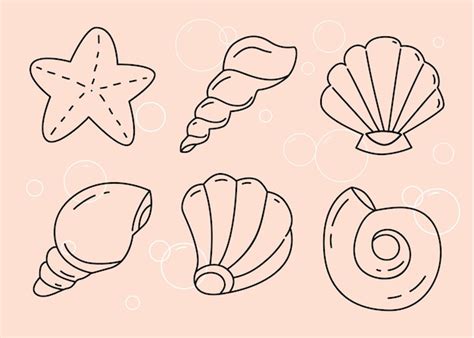 Premium Vector Set Of Linear Icons Seashells
