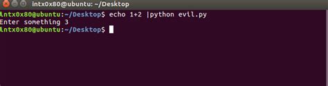 Python Input Vulnerability