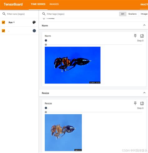 Pytorch学习的第三天，transform中normalize和resize的用法normalize语法transform Csdn博客