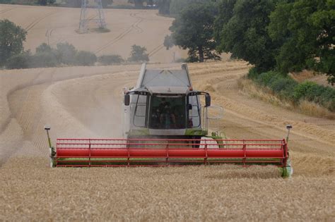 Solve Harvest Jigsaw Puzzle Online With 150 Pieces