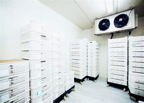 Polystyrene Foam Blocks For Cool Rooms By Foamex