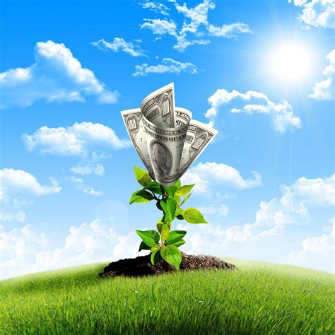 12 Ideas To Grow Your Business Today Wilson Printing Usa