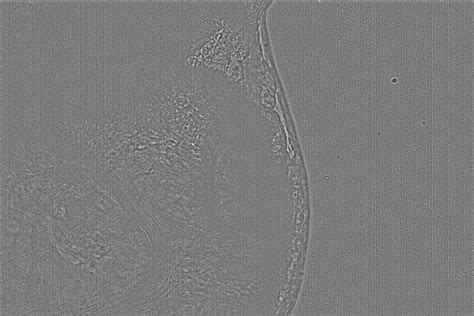 Removing Sensor Pattern From The Acquisition A The Average Of The