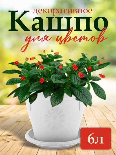 Характеристики Горшок кашпо для цветов орхидеи суккулентов кактусов фиалок растений