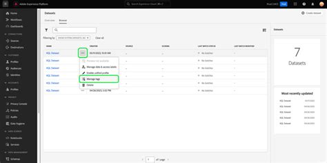 datasets ui guide adobe experience platform