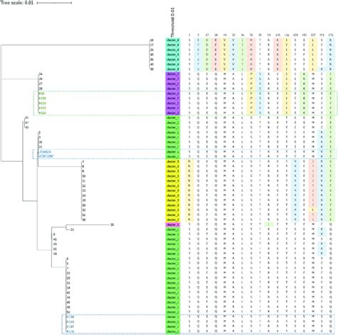 Phylogenetic Analysis Of Cpra Among 61 C Difficile Strains A