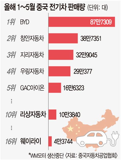세계 1위 전망에도 웃지 못하는 中 토종 전기차 줄줄이 휘청