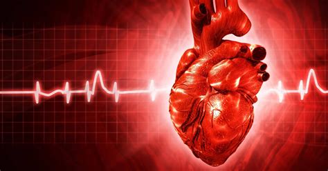 Ventricular Extrasystole Causes Symptoms And Treatment 【 2022