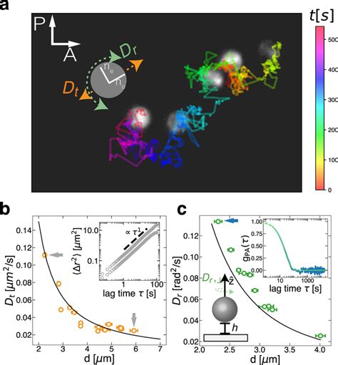 The Translational And Rotational Diffusion Of An Individual Particle Is