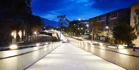 Uva San Fernando Celsa