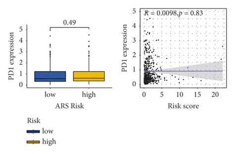 Analysis Of Immune Checkpoints In Ec A Pd1 B Pd L1 C Pd L2