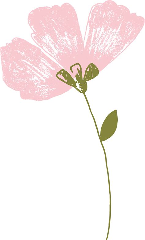 素材 手绘叶子png