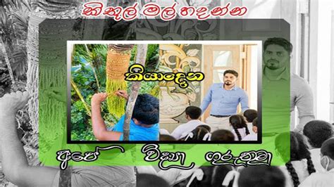 How To Make Kithul Flower කිතුල් මලක් හරියටම හදමු Youtube