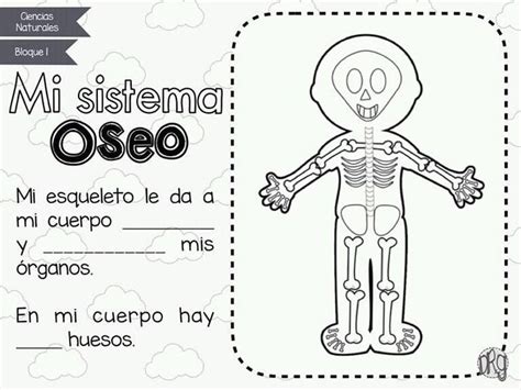 Sistema Oseo Trabajo Escolar Sistemas Del Cuerpo Humano Sistemas