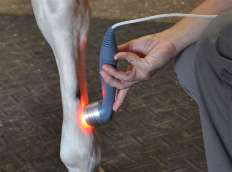 Results Equine Therapy