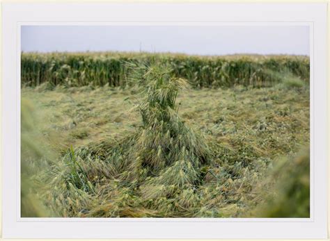 Search Celf Ar Y Cyd