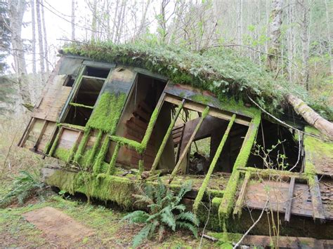 Port Kusam Vancouver Island Gohikingca