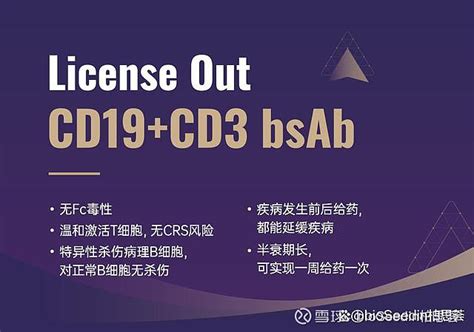 项目合作｜治疗自身免疫疾病cd19cd3双抗 01项目概况1项目名称：peg化cd3 Cd19双特异性抗体2适应症：自身免疫疾病3