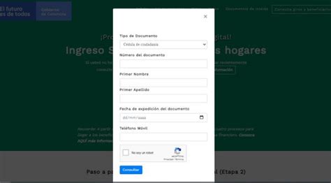 Ingreso Solidario ¿aparece En La Consulta Con Su Cédula Pero Cambió