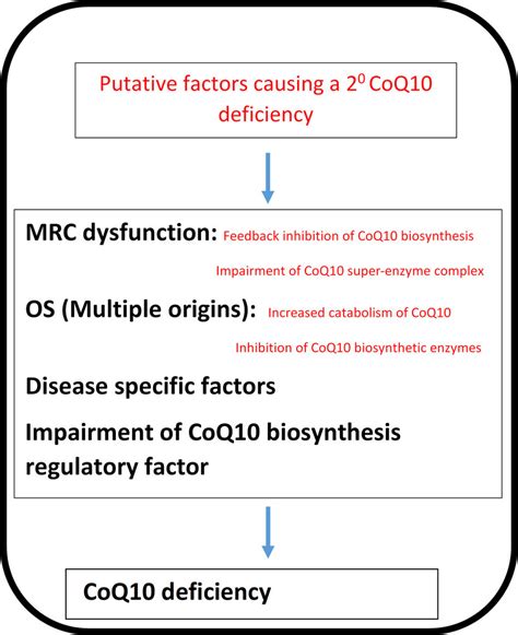 The Potential Factors Responsible For A Secondary CoQ Deficiency Download Scientific Diagram