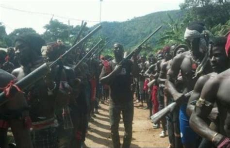 Cameroon Separatists African Probe