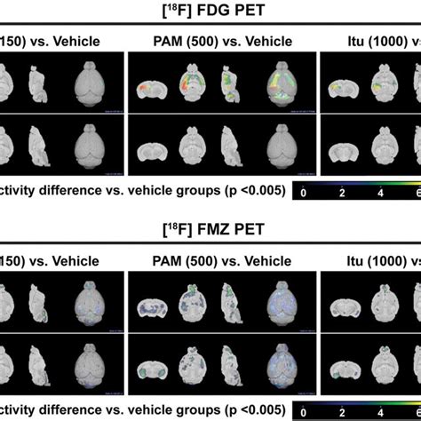 Metabolic Activity And Neuronal Integrity Map Of Mice Brains For 7 D Download Scientific