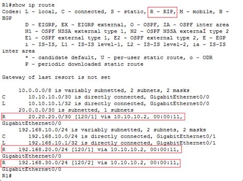 Lab Routing Dynamic Rip V
