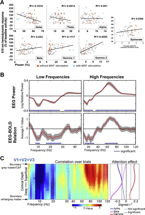 The Relation Between Oscillatory Electrophysiological Activity And The Download Scientific