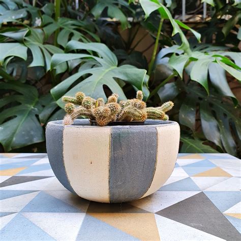 Vaso De Cer Mica Para Plantas Elo Produtos Especiais
