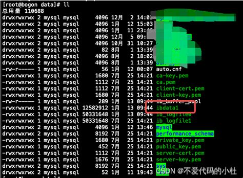 【mysql数据损坏，通过ibd和frm文件批量恢复数据库数据】mysql Frm Ibd文件 Csdn博客