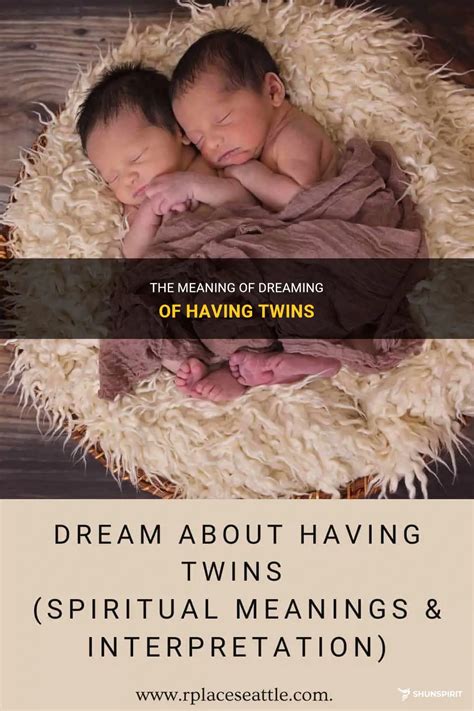The Meaning Of Dreaming Of Having Twins Shunspirit
