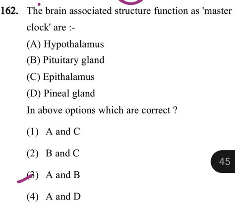 162 The Brain Associated Structure Function StudyX