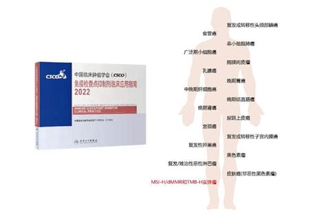 【免疫治疗专题】csco指南2022与免疫治疗 药物 肿瘤 细胞