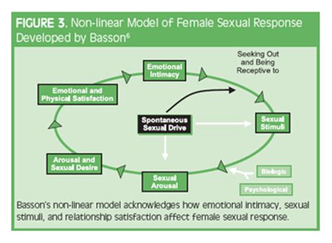 A New Female Sexual Response Model Biology Science Forums
