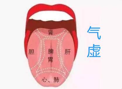 中医理论 艾灸百科
