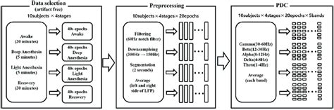 Block Diagram For Calculating The Partial Directed Coherence Pdc Download Scientific Diagram