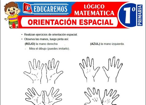 Orientación Espacial Para Primero De Primaria Fichas Gratis 📚