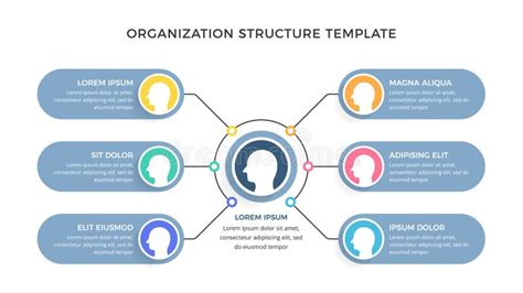 Organization Structure Template Stock Vector Illustration Of Infographics Process 324249883