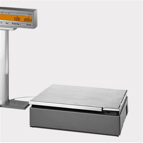 Rectangular Steel Checkout Scale Cs 300 Te For Supermarket At Best Price In Pune