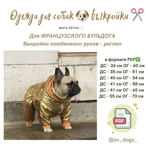 Выкройка комбинезон для французского бульдога | Французский бульдог ...