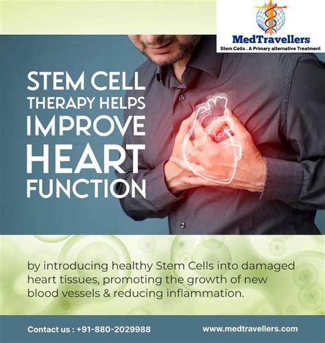 Exploring Stem Cell Therapy For Cardiovascular Disease In India