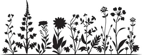 Botanische Silhouet Border Floral Vector Emblem Monochrome Petal