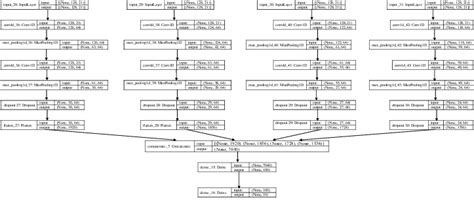 The Proposed Cnn Tensor Architecture Download Scientific Diagram