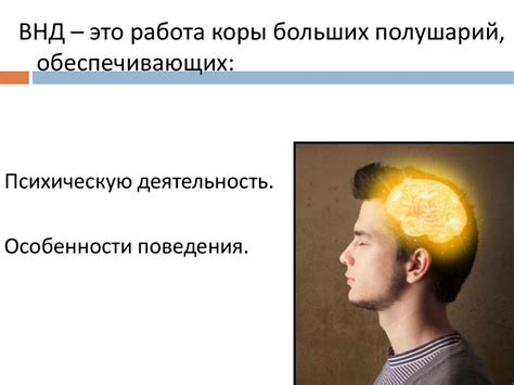 Учение о высшей нервной деятельности Online Presentation