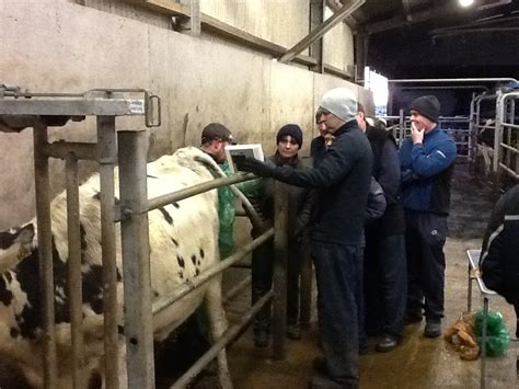 Vetequip News Bovine Reproductive Ultrasound Training Feb 2018
