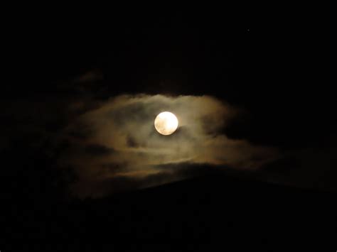 山羊座の満月おぼろ月夜 By 花・月・星・fdaらぶ （id：8855725） 写真共有サイトphotohito