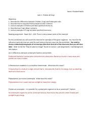 Study Resource Protists Fungi And Their Structures Course Hero